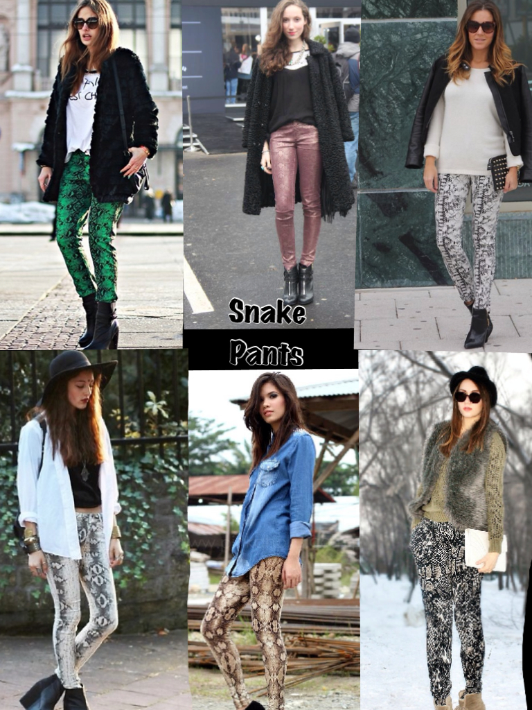 Trend Alert : Snake Pants | Kelledstyle